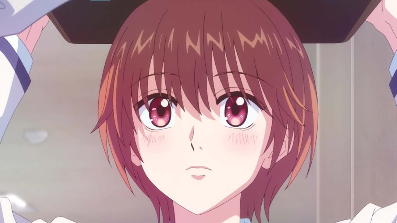 Hana-Kimi: identidad, travestismo y deseo. Una adaptación de anime que ...